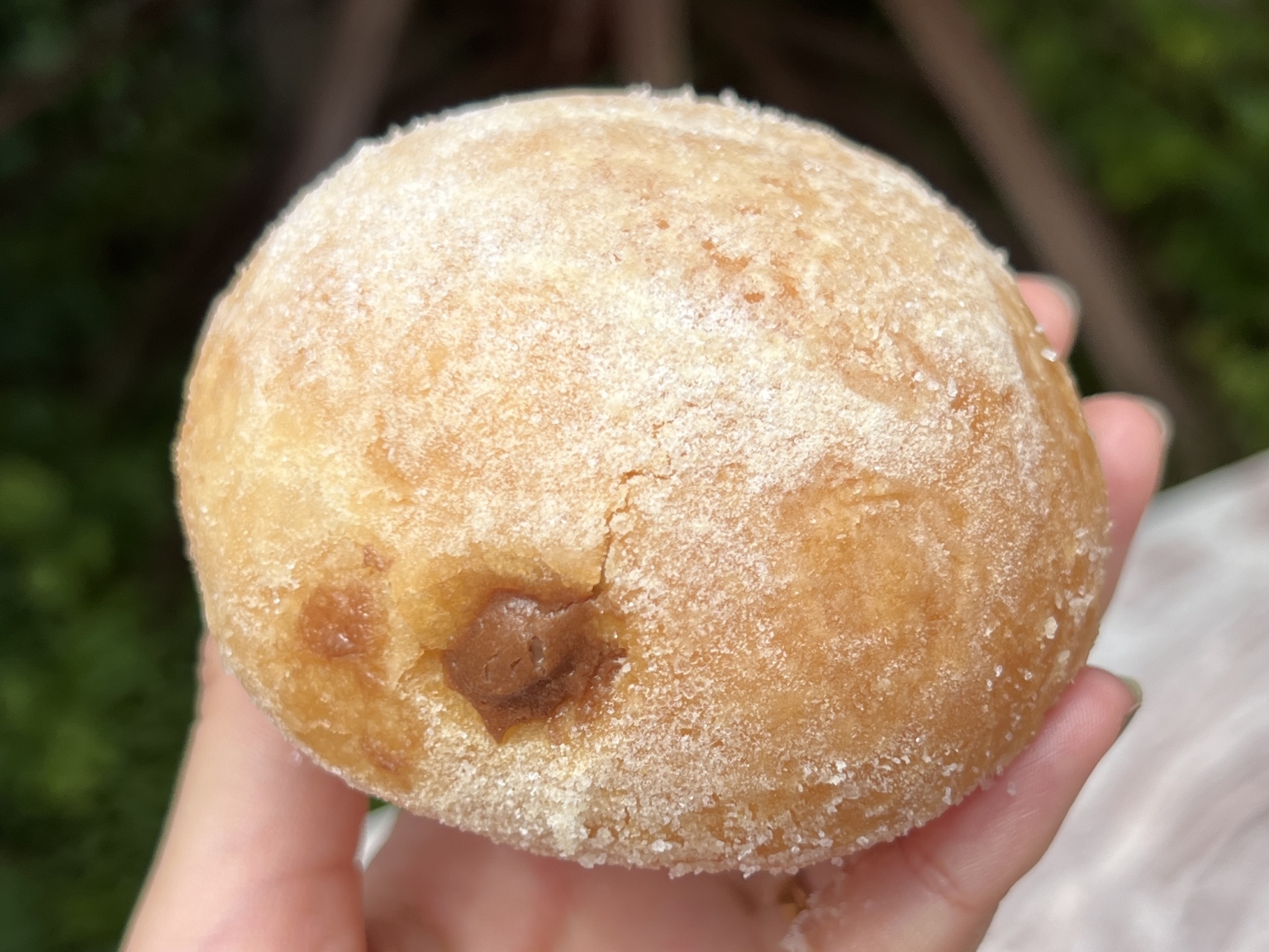 手土産に ！「THE FRENCH BONES（フレンチボーン）」秋のおすすめ