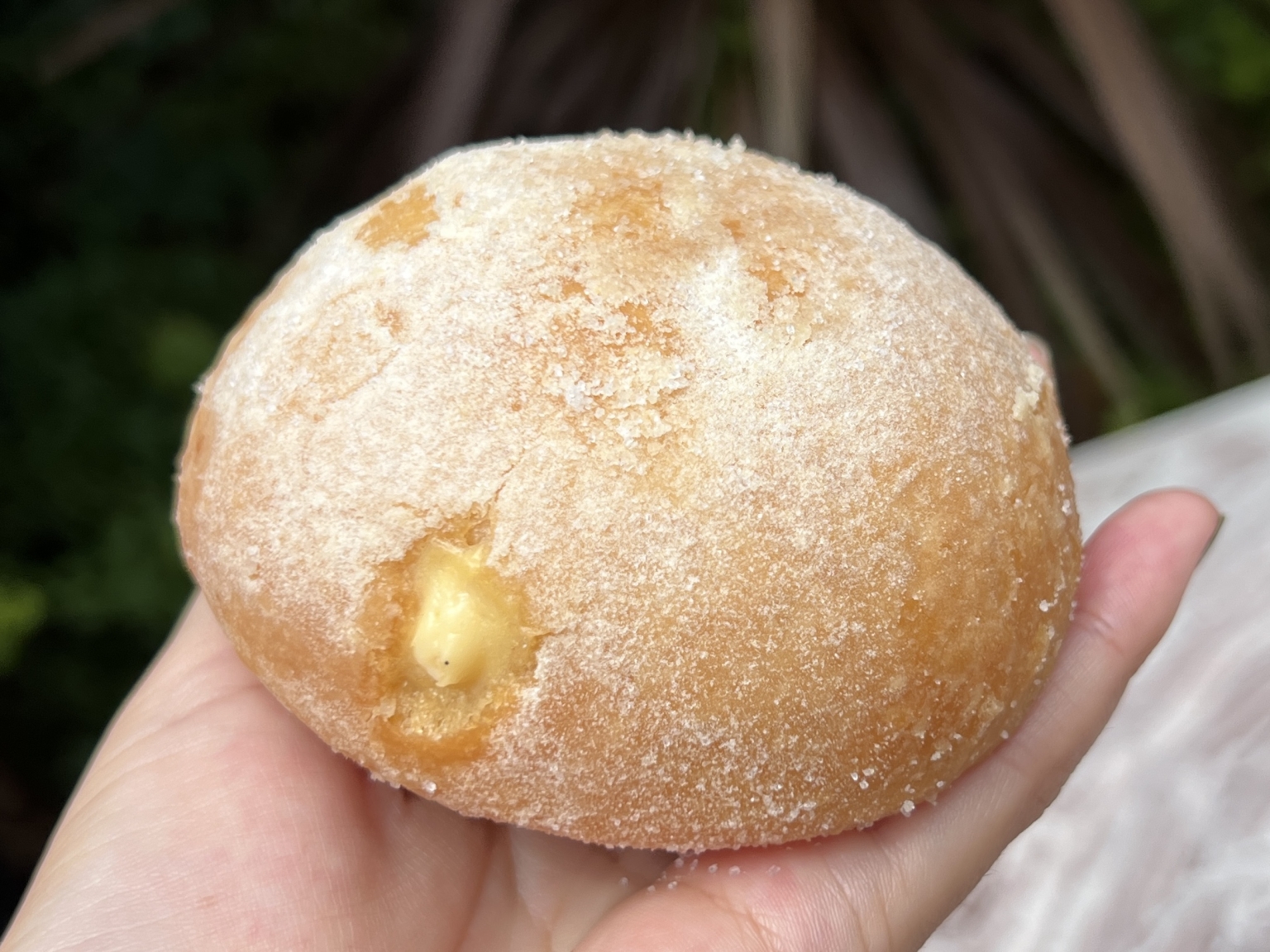 手土産に ！「THE FRENCH BONES（フレンチボーン）」秋のおすすめ