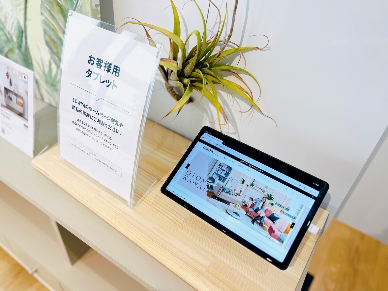 話題！ブランド初の実店舗「LOWYA（ロウヤ） 九大伊都店」