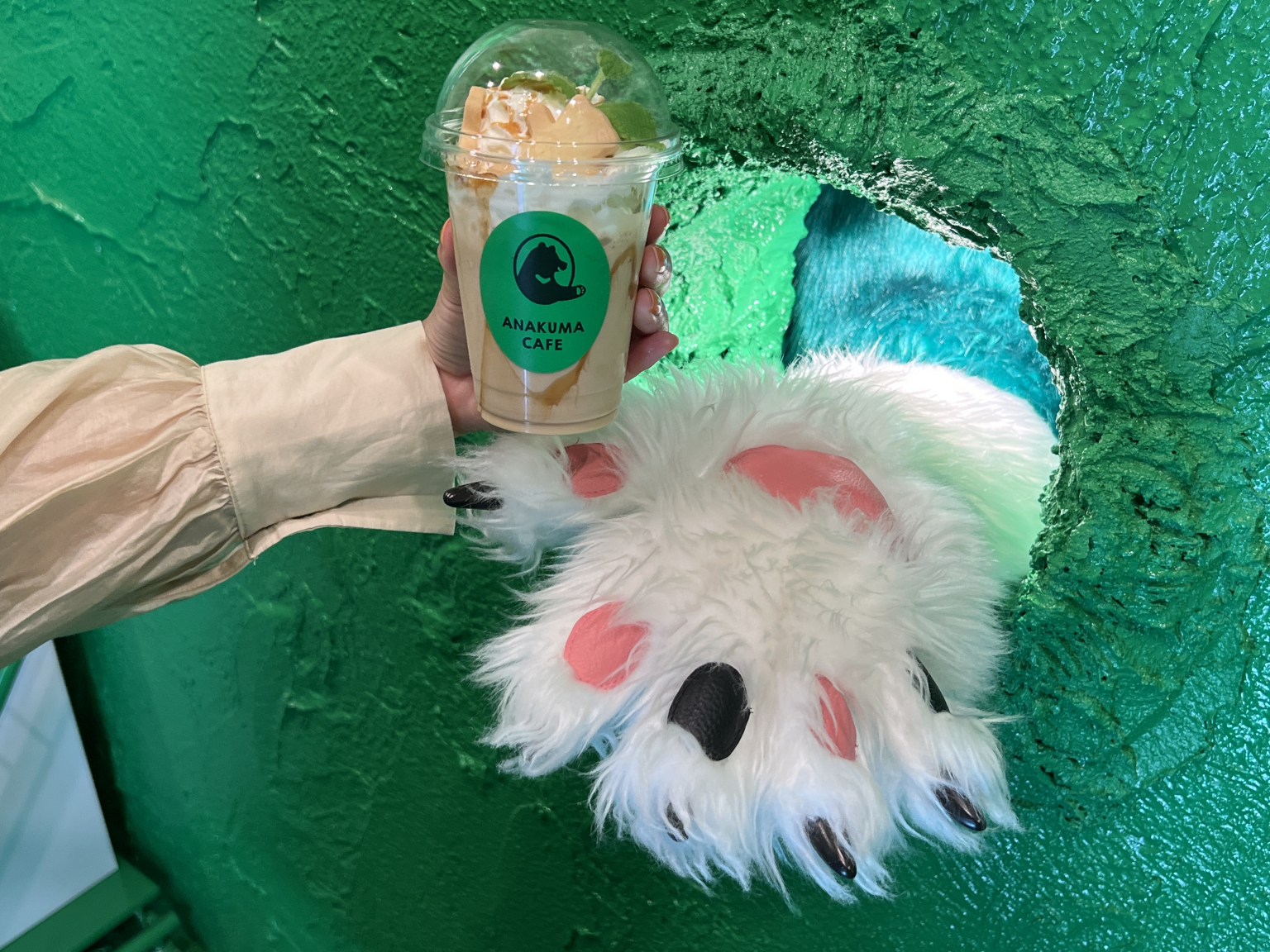 話題店が福岡へ！「ANAKUMA CAFE大名店（アナクマカフェ）」