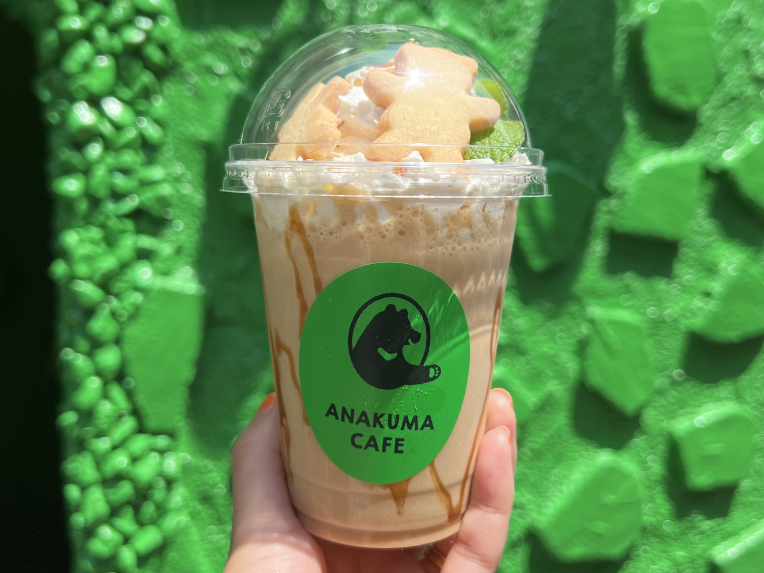 話題店が福岡へ！「ANAKUMA CAFE大名店（アナクマカフェ）」