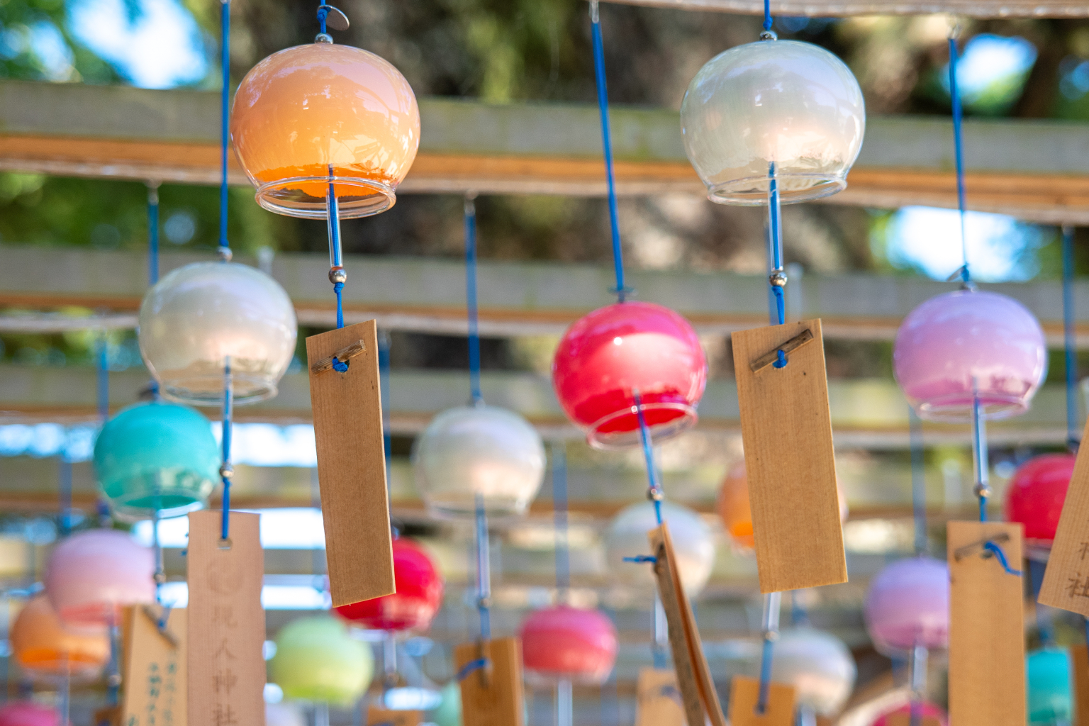 [Nakagawa, Fukuoka] A hot topic for its photogenic photos! "Genjin ...