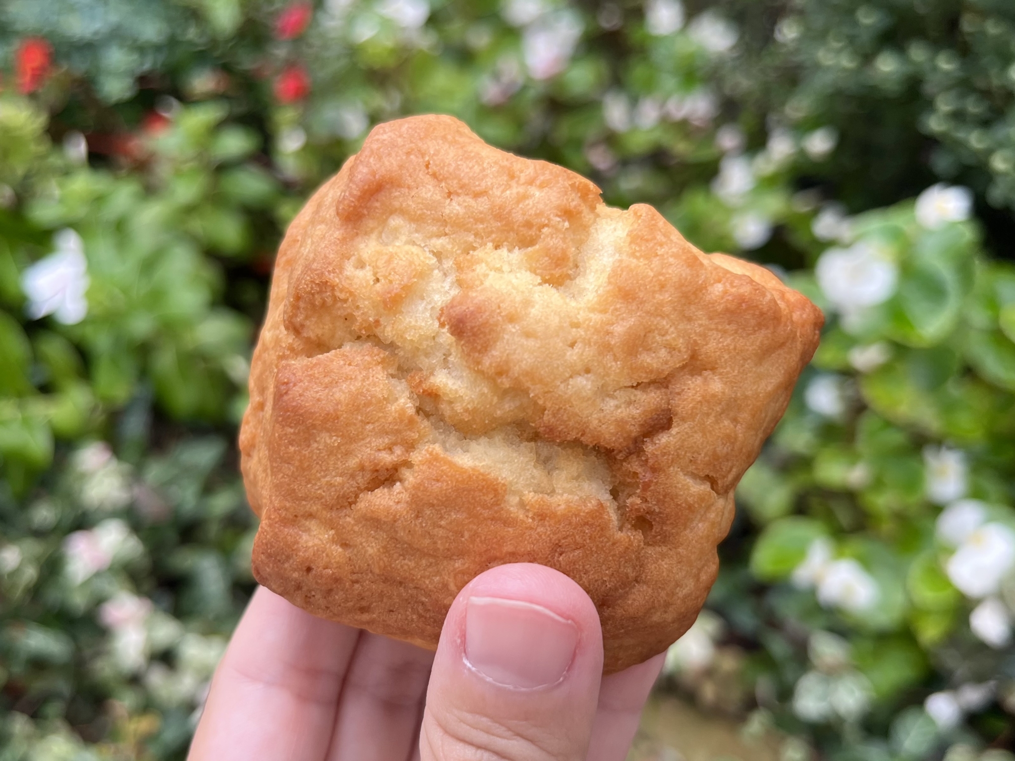 생크림 사용 촉촉한 스콘이 인기! 후쿠오카·오고리 “conne”